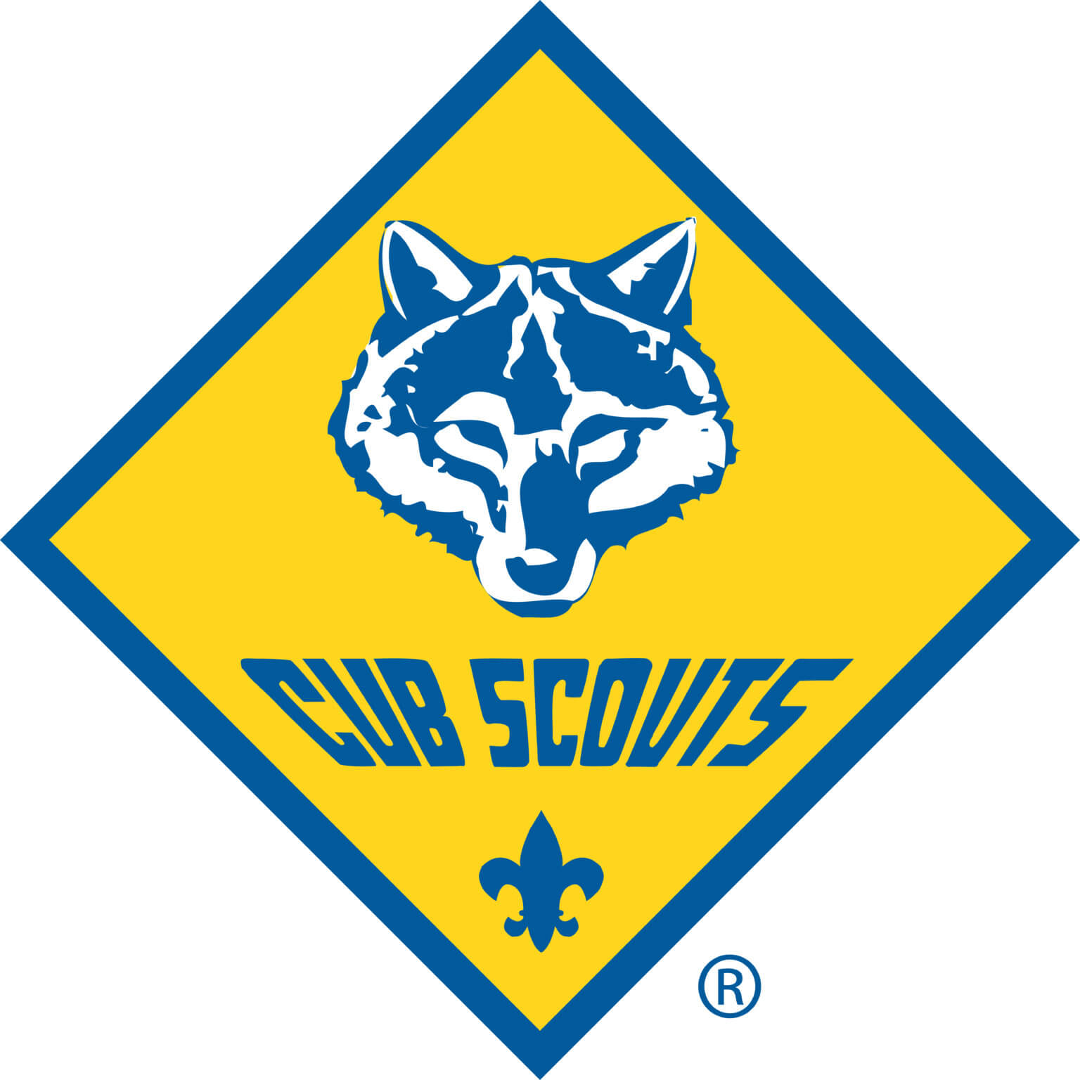 Scouting Program - Alamo Area Council